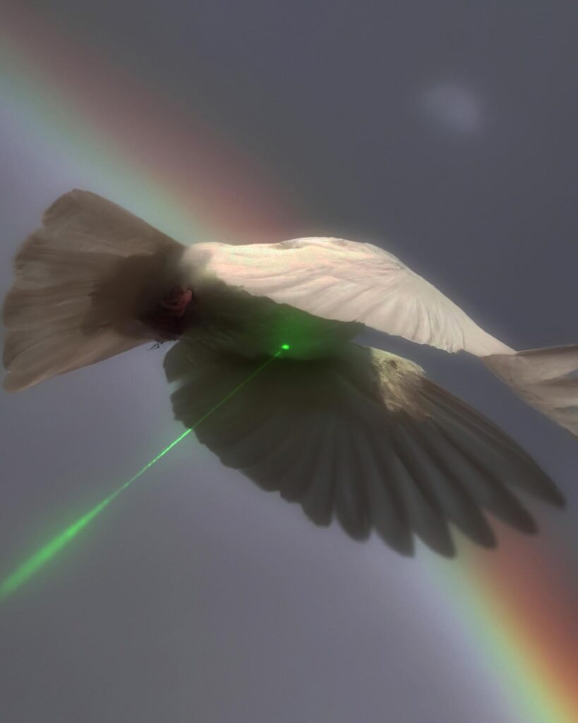 Artist Nathaniel Unveils Magical And Healing Photo-based Masterpieces